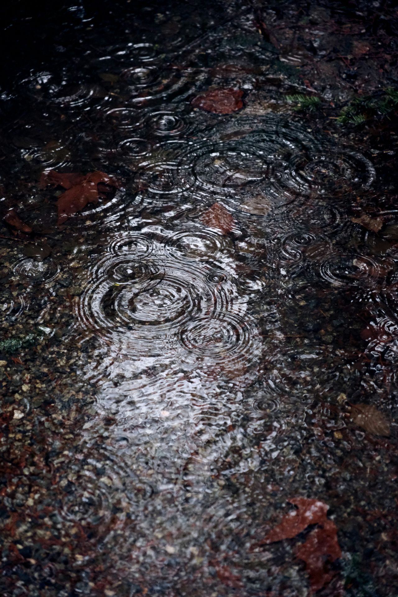 Gestion des eaux pluviales - Réseau Environnement